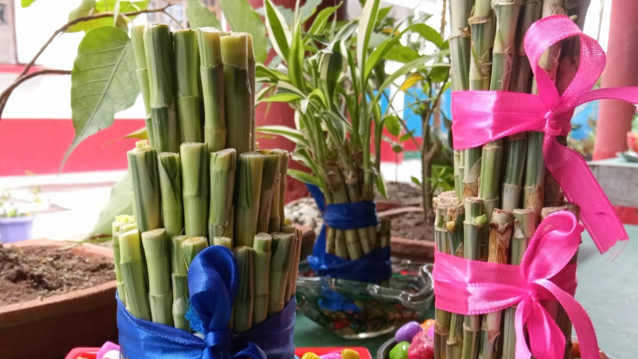 How to make Lucky Bamboo sticks decoration. - YouTube