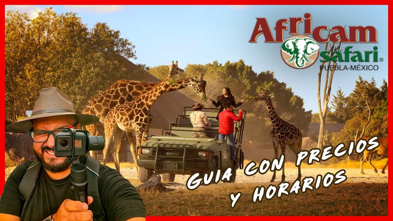 🔴 AFRICAM SAFARI 4K | Precios horarios y TODO lo que necesitas saber ...