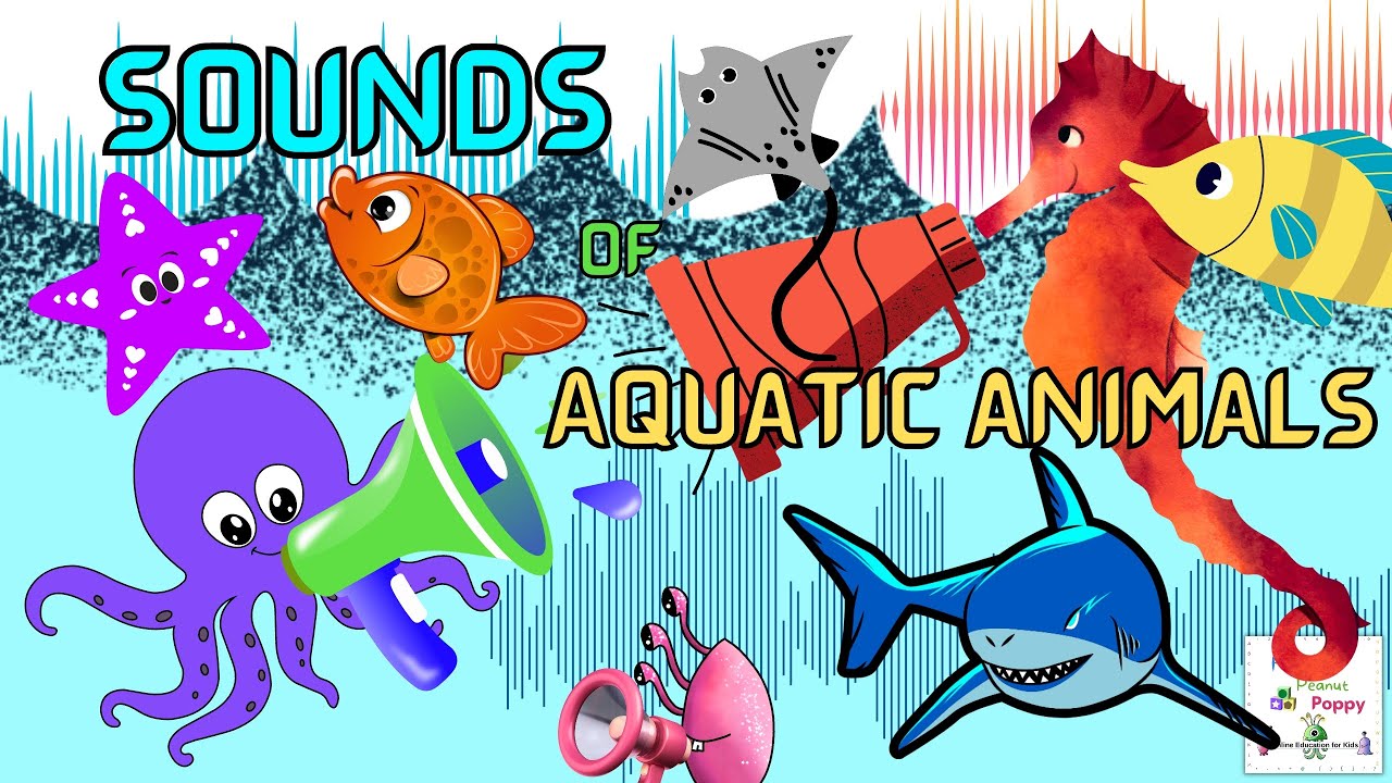 Animal Sounds For Kids | Sounds Of Aquatic Animals | Animal Vocabulary ...