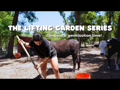 COMPOST & GERMINATION TIME | the lifting garden series, farm life, gym ...