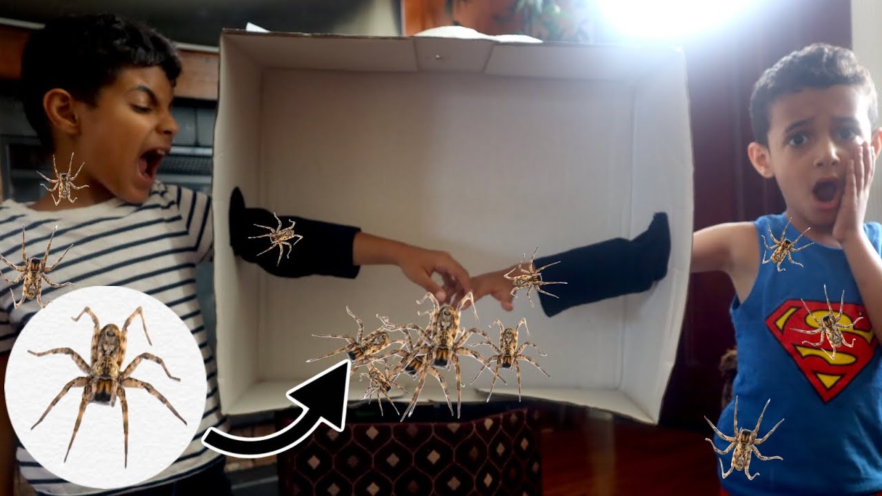 What’s In The Box Challenge *SCARY* - YouTube
