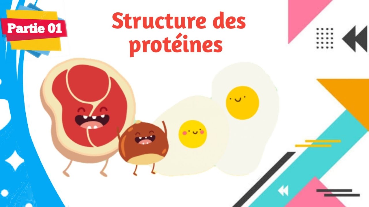 Biochimie | Structure des Protéines | Partie 01/14 - YouTube