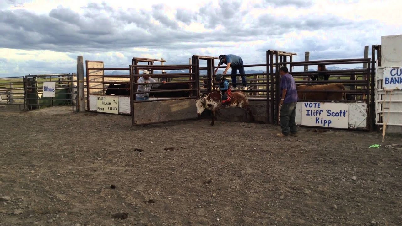 Tahj Wells steer riding - YouTube