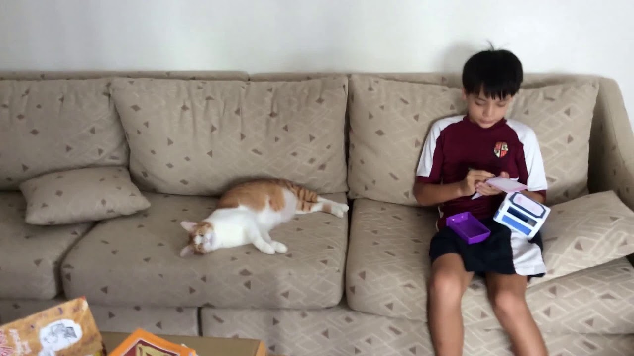 Fat cat song | i love my life - YouTube