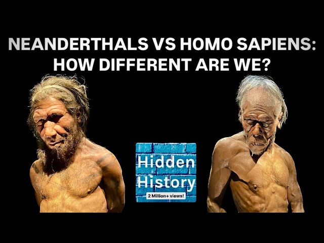 Neandertal Vs Sapiens Antropologa