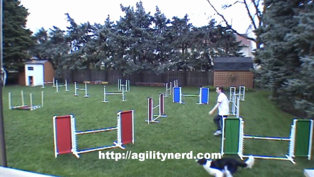 Lisa Jarvis Masters Jumpers in the Backyard - YouTube