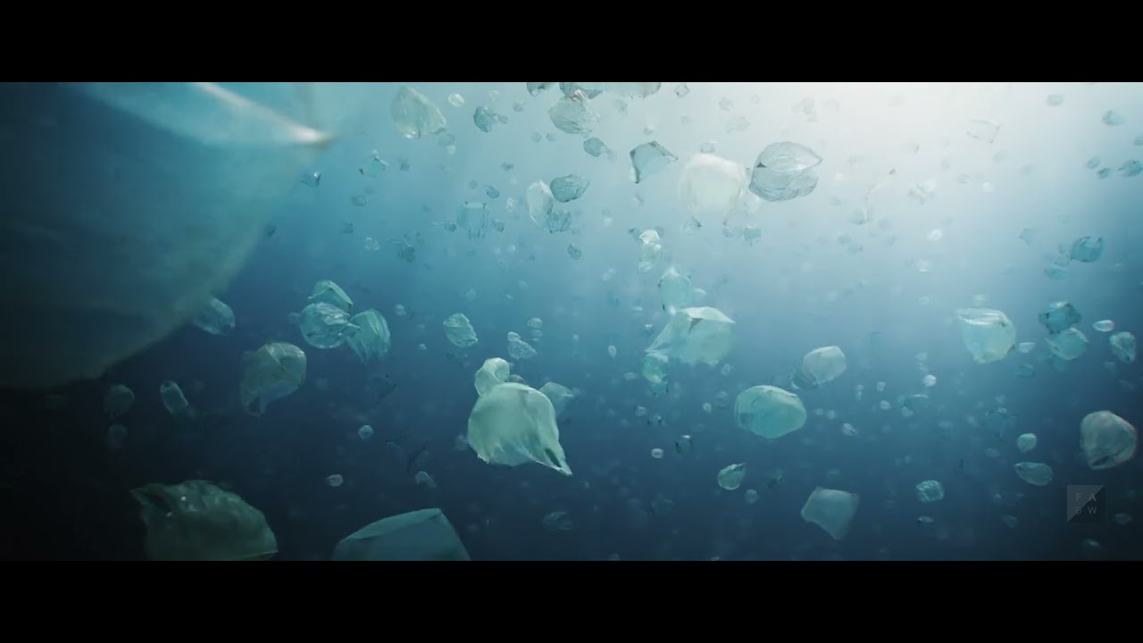 THE BEAUTY | Official Trailer | FMX 2023 - YouTube