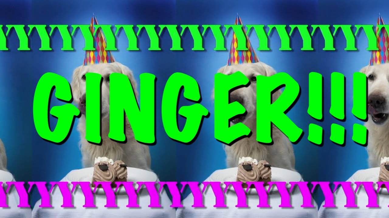 HAPPY BIRTHDAY GINGER! - EPIC Happy Birthday Song - YouTube