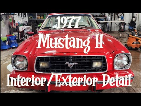 77 Mustang II Detail