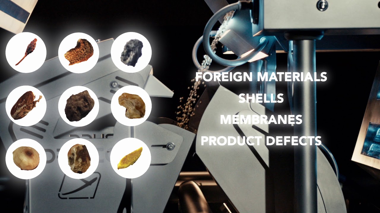 Dryce - A revolutionary optical sorter for nuts & dried fruit | Raytec ...