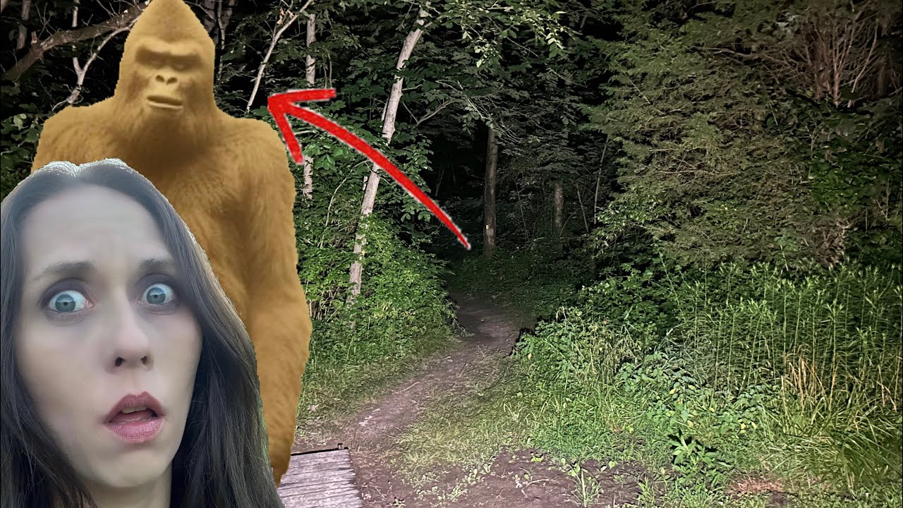 THE FIREWORKS MADE THE WOODS FREAK OUT! - YouTube