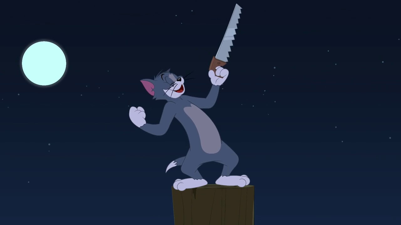 The Tom & Jerry show | Tom the gym cat | cartoon YT - YouTube