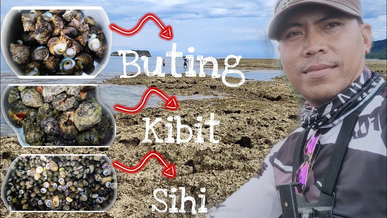 Pangingilaw ng buting , kibit , Sihi at madami pang iba sa gasangan ng ...