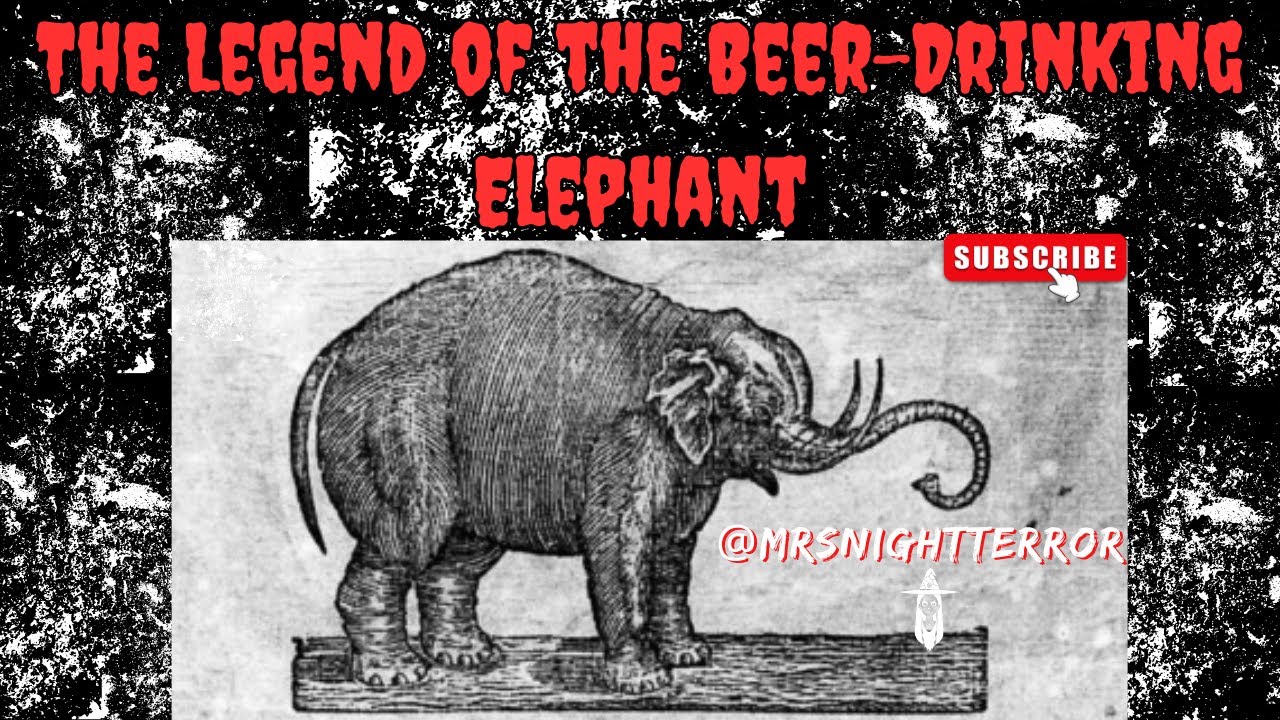 The Legend of the Beer-Drinking Elephant - YouTube