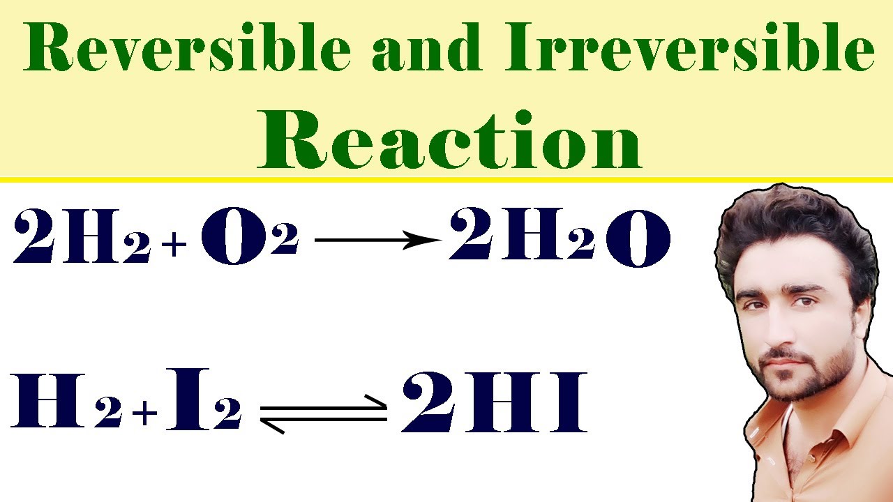 Reversible and Irreversible Reactions || 10th Chemistry Chap #9 ...