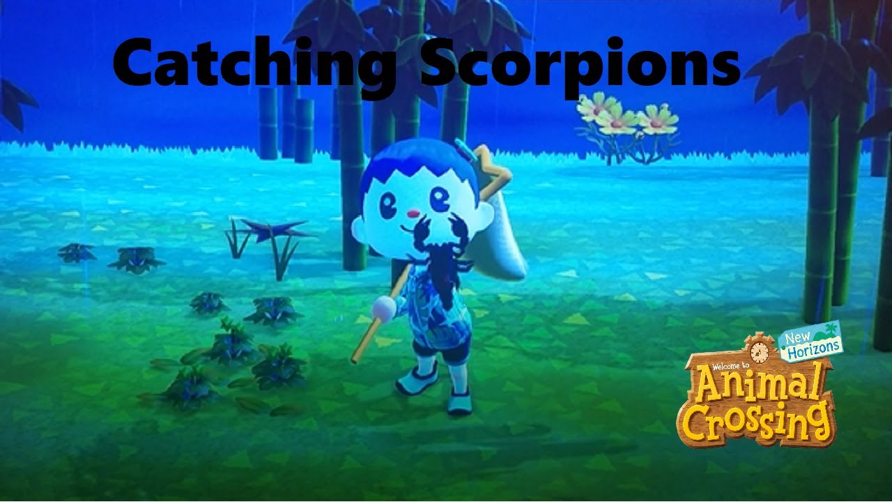 Catch Scorpions in Animal Crossing New Horizons - YouTube
