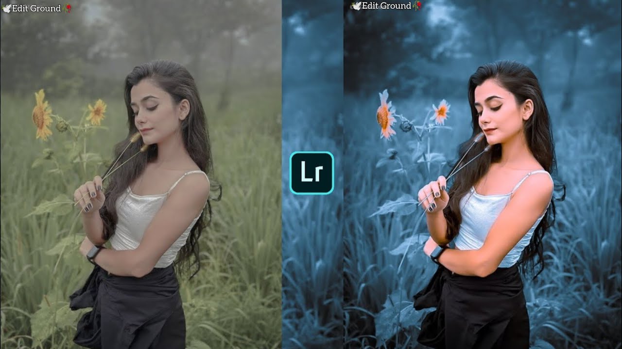 🕊️Soft blue color effect Lightroom photo editing/🥰/preset download free ...