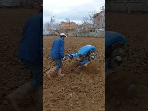 досмотрите внимательно очень полезный образ Çamurlu tarlada Çapa böyle yapılır. Tekniğe dikkat,