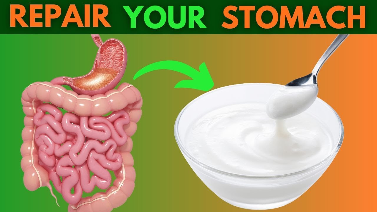 Eat These 10 Powerful Foods To HEAL Your GUT And Repair Your STOMACH ...