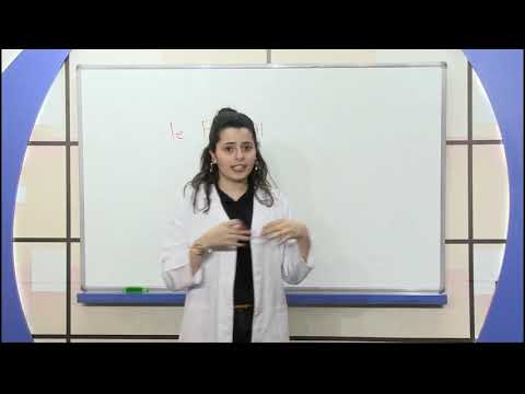 TeknoMektep Çocuklar İçin Fransızca (L'alfabet/Alfabe)