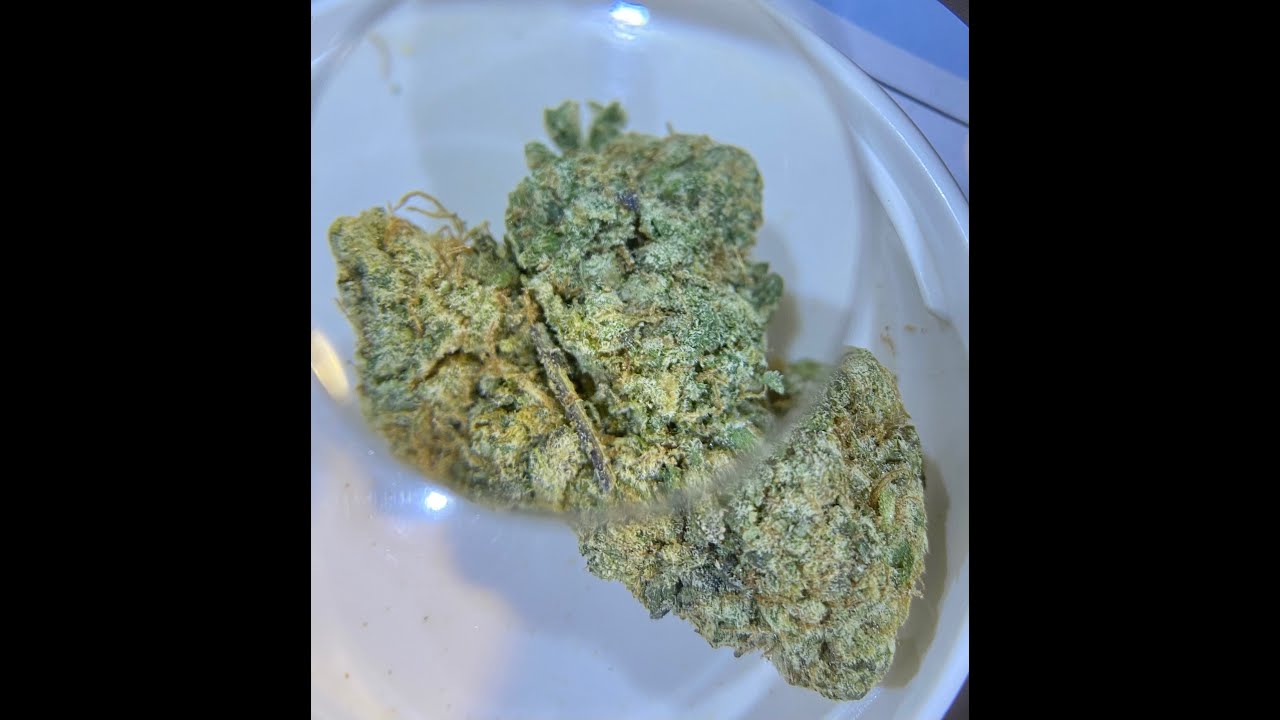 Strain of the Week: Exotic OG aka Extreme OG - YouTube