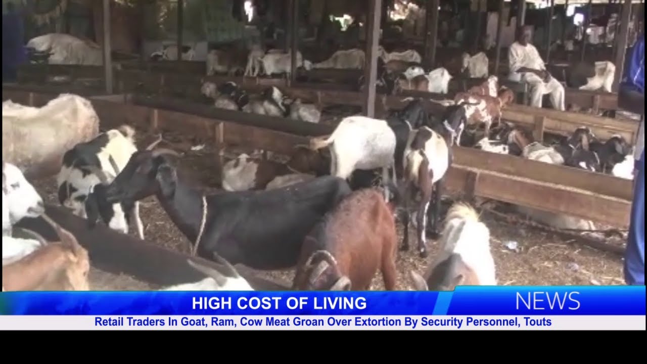 Retail Traders In Goat, Ram, Cow Meat Groan Over Extortion By Security ...