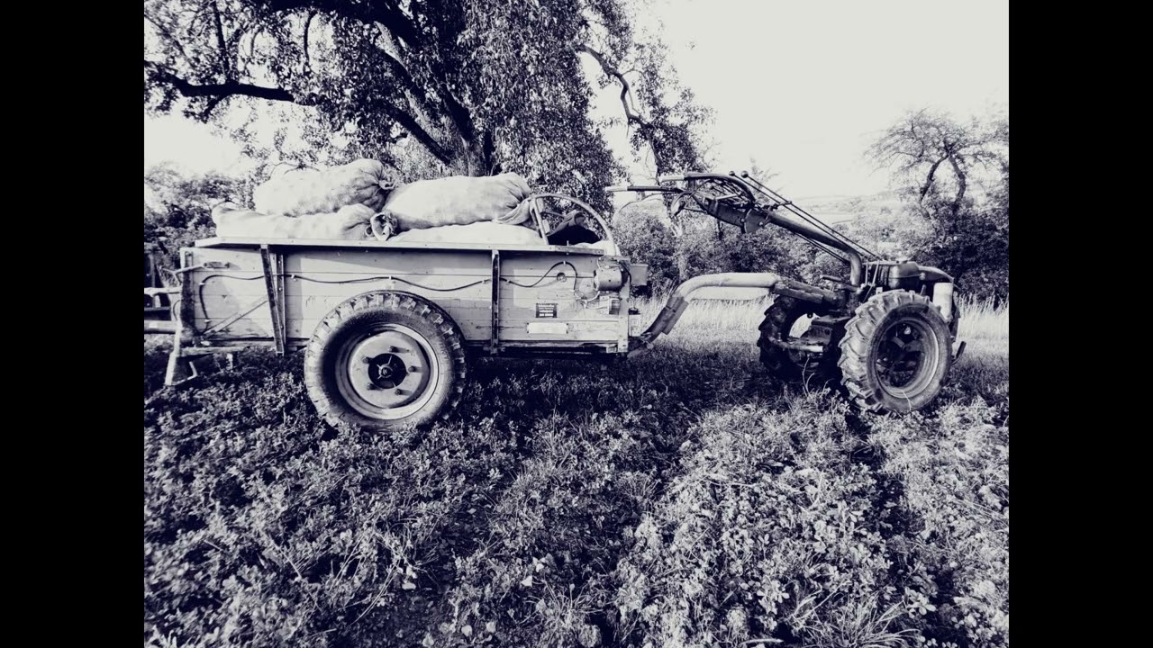 Äpfel mosten wie in den 1950/60erJahre mit Agria 2800 und Amos ...