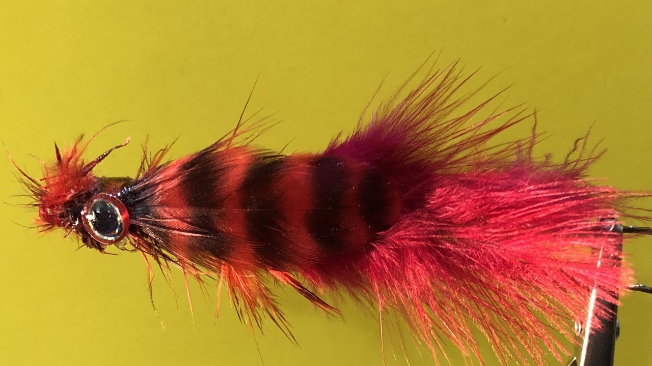 #393 JAILBIRD FLY - YouTube