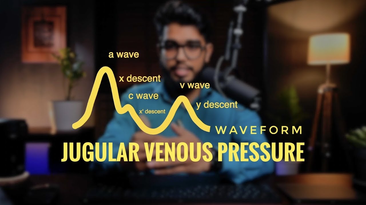 Jugular Venous Pressure - JVP Waveforms - YouTube
