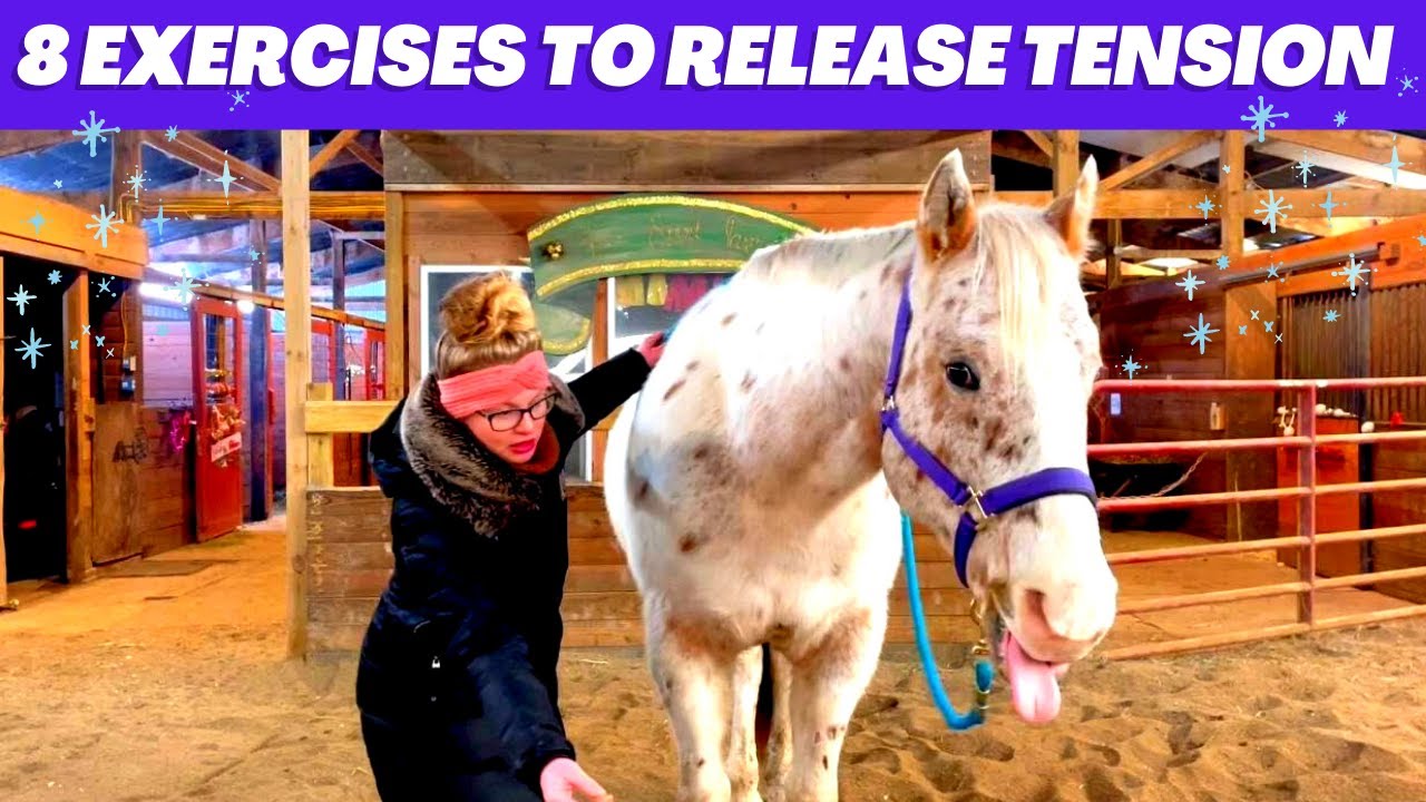 8 WAYS TO RELEASE TENSION IN YOUR HORSE - YouTube