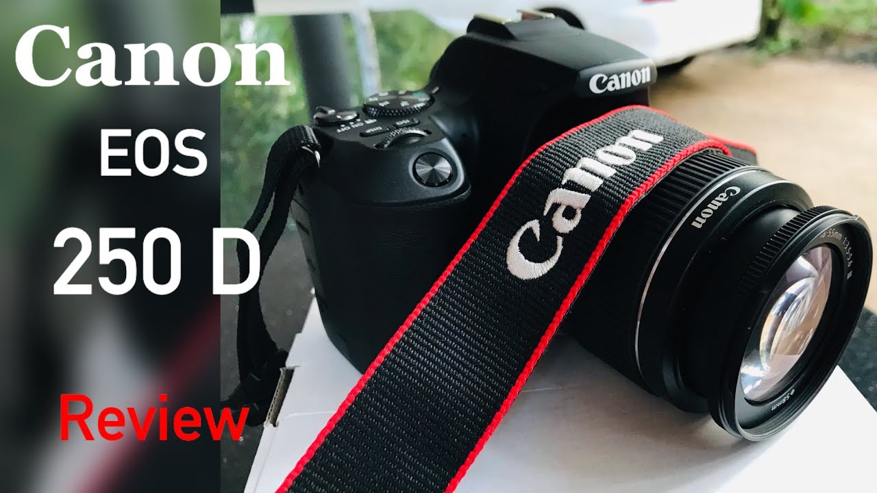 Canon EOS 250D Review || DSLR ||Camera || Flavourguru - YouTube