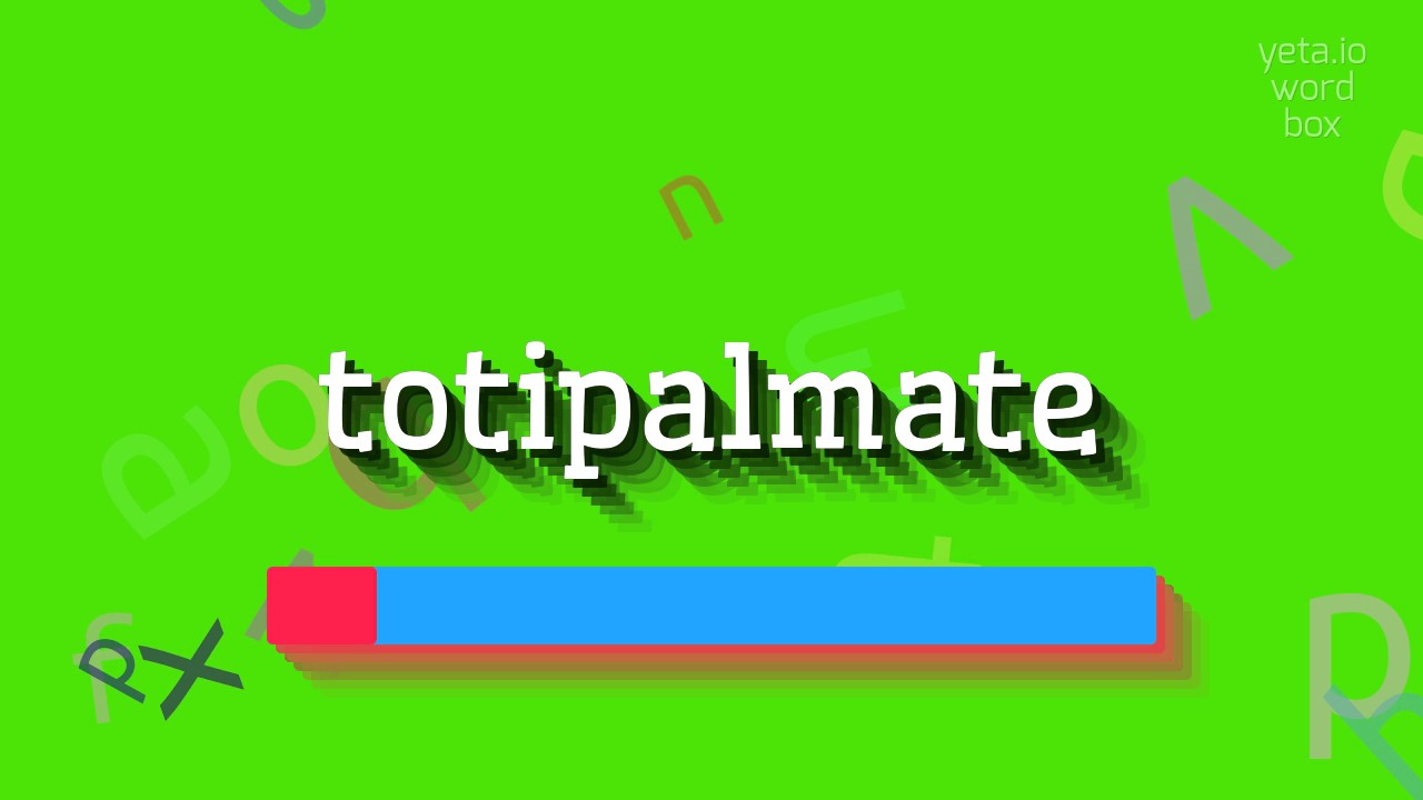TOTIPALMATE - HOW TO SAY TOTIPALMATE? - YouTube