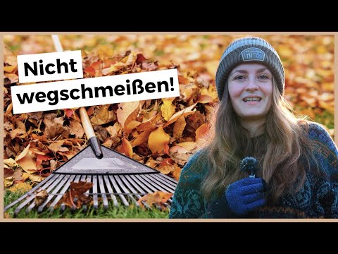 15 Garten-Aufgaben, die du vor dem Winter erledigen solltest