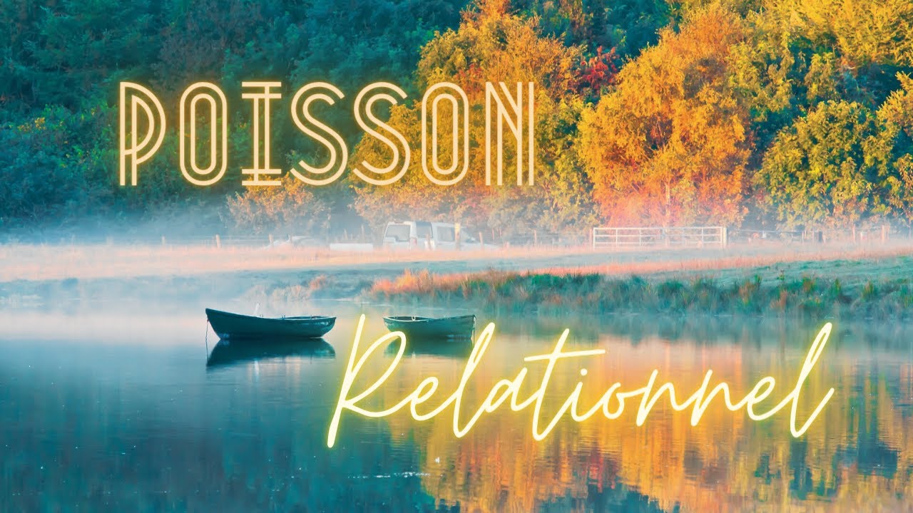 EXTENSION POISSON RELATIONNEL - YouTube