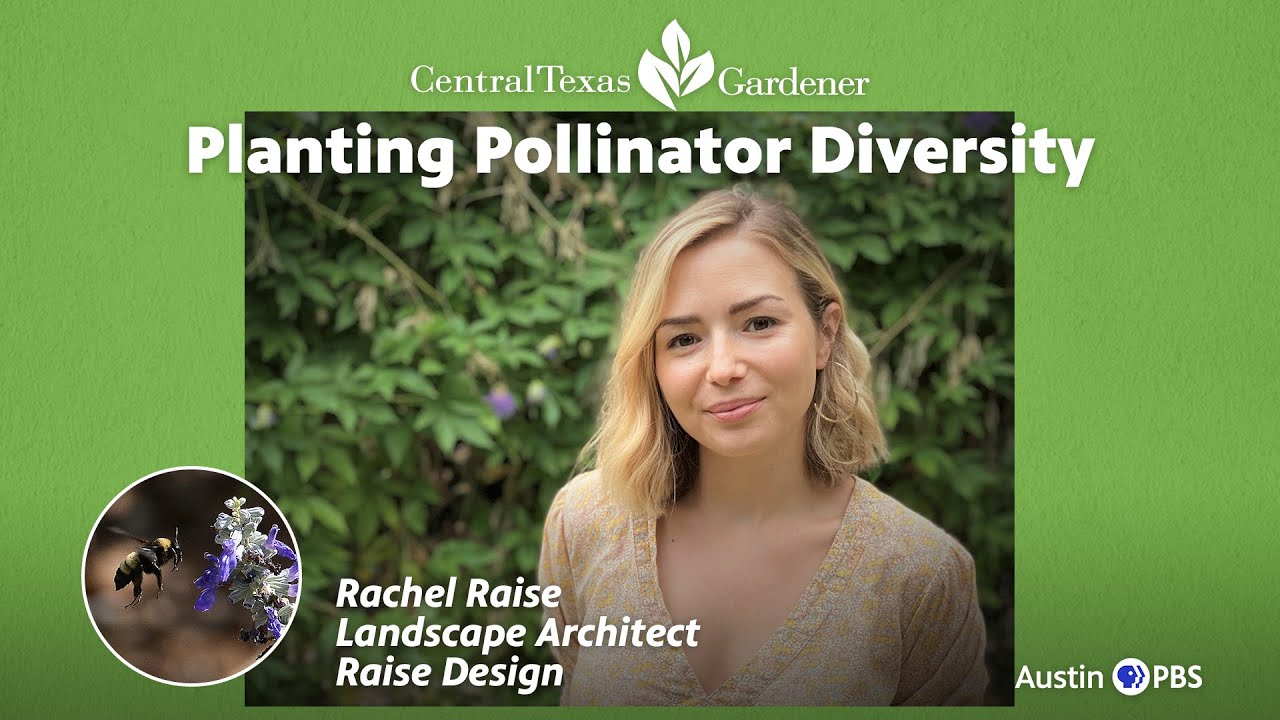 Planting Pollinator Diversity: Rachel Raise - YouTube