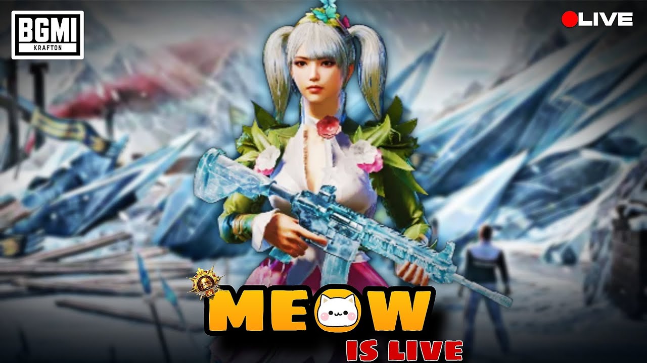 🔥MEOW IS LIVE | NOOB VS PRO | 3.5 UPDATE 🥶🐘🦁 | MEOW LIVE😻 - YouTube