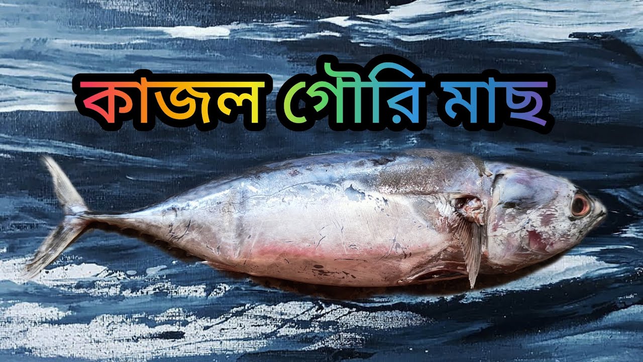 How To Make Kajol Gouri Fish, কাজল গৌরি মাছ,প্লিজ সাবস্ক্রাইব #vairal # ...
