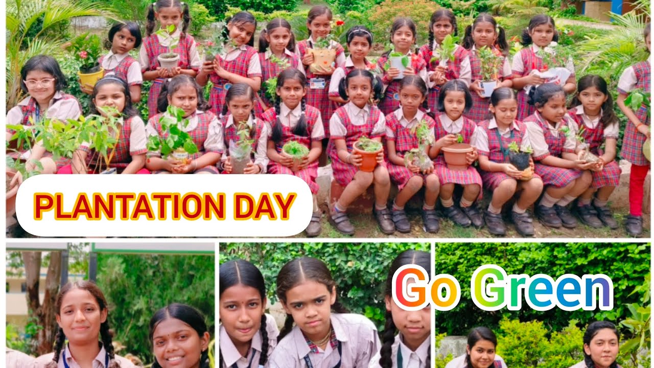PLANTATION DAY _ GO GREEN - YouTube