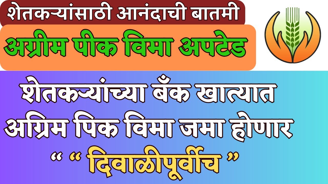 pik vima update | pik vima kadhi milnar 2023 | crop insurance #pikvima ...