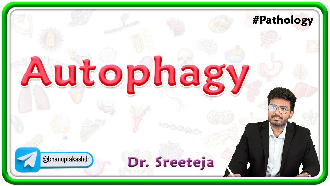 5. Autophagy : Cellular Recycling Pathway || USMLE Step 1 - YouTube