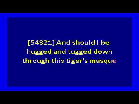 Cocteau Twins  - Cherry Coloured Funk (karaoke)
