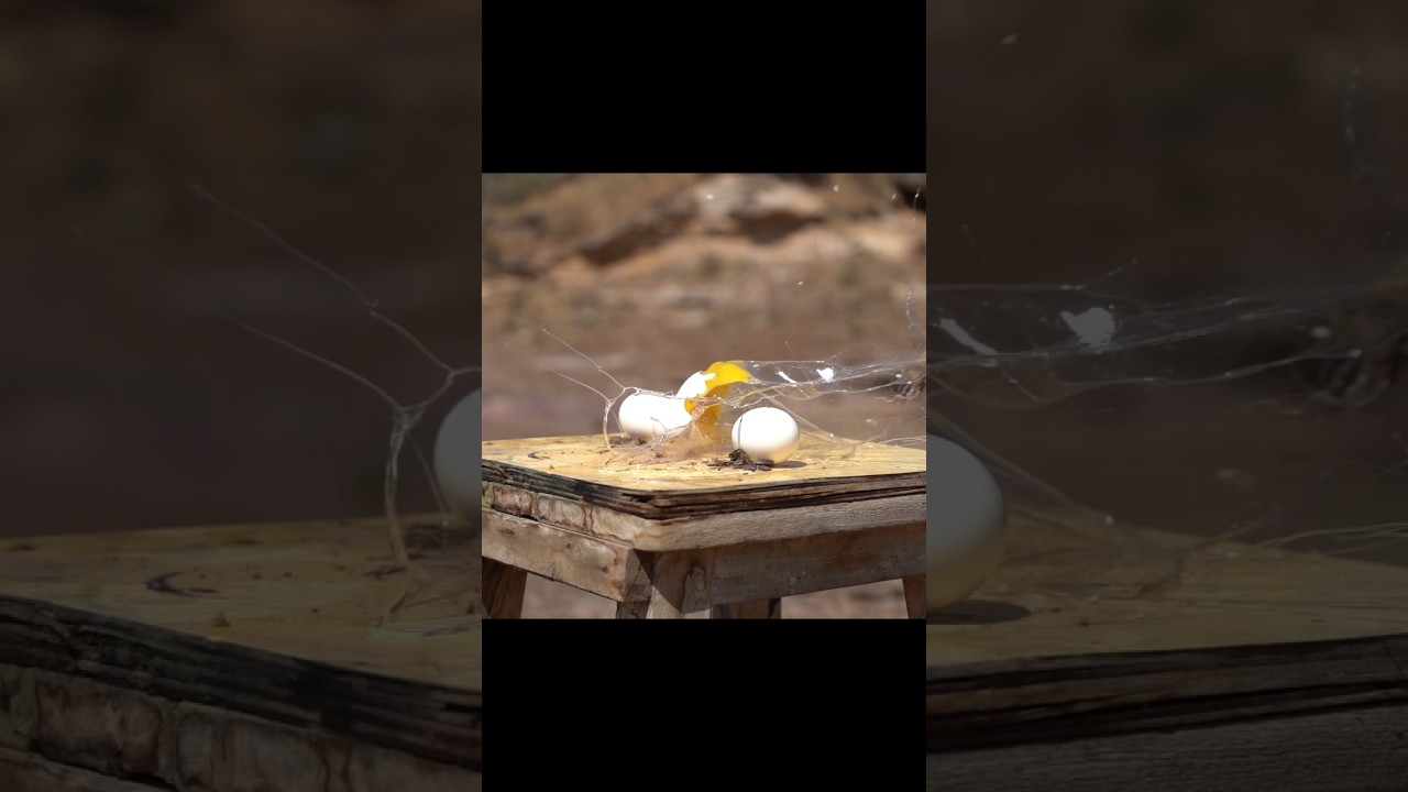 Eggs crashing with slingshot #experiment #crashtest #crash #eggs - YouTube