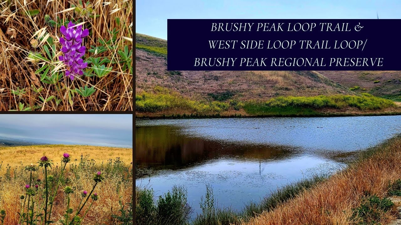Brushy Peak Loop Trail & West Side Loop Trail Loop/ Brushy Peak ...