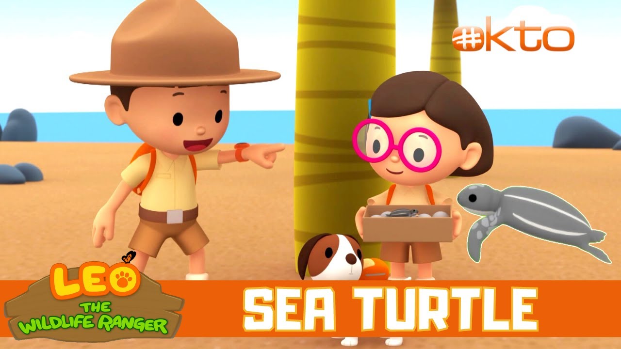 Let's bring the 🐢 SEA TURTLES to the beach! 🏖️ | Leo the Wildlife ...