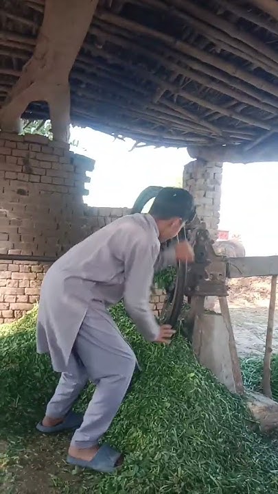 desi village life - YouTube