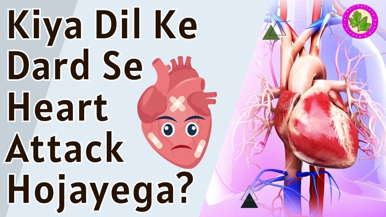 Heart Attack Symptoms , And Treatment - Kiya Dil Ke Dard Se Heart ...