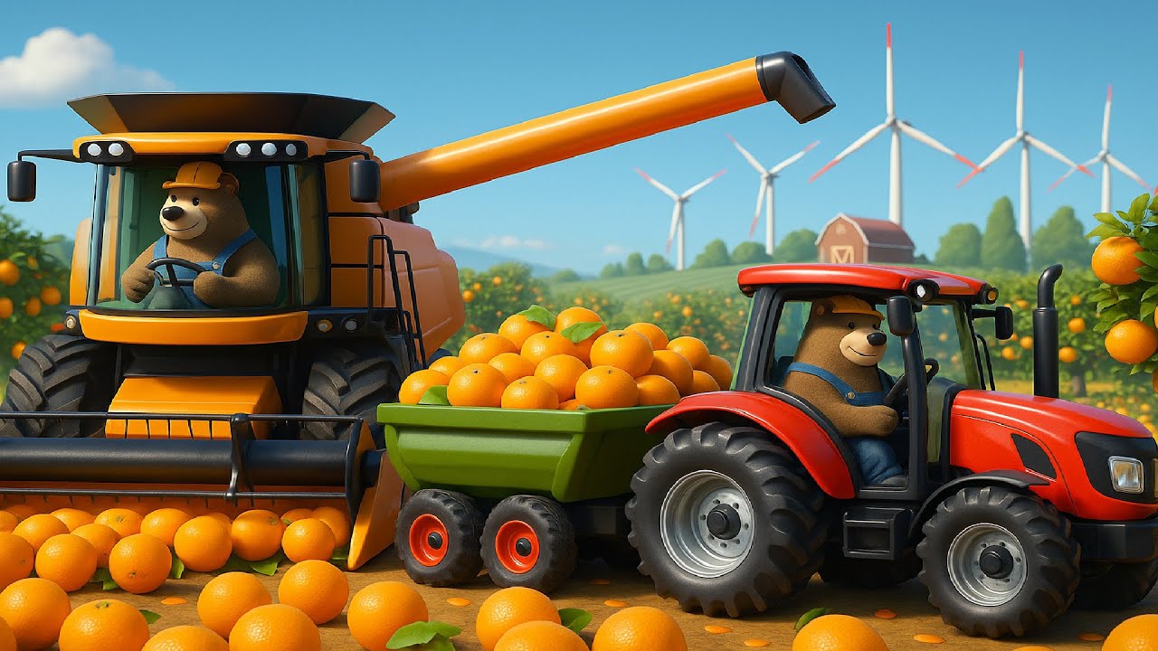 Farm Work: The Great Orange Harvest, Bear Farmers Operating a Combine ...
