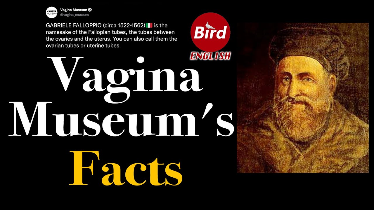 Vagina Museum In London Shared How The Female Reproductive Organs Named ...