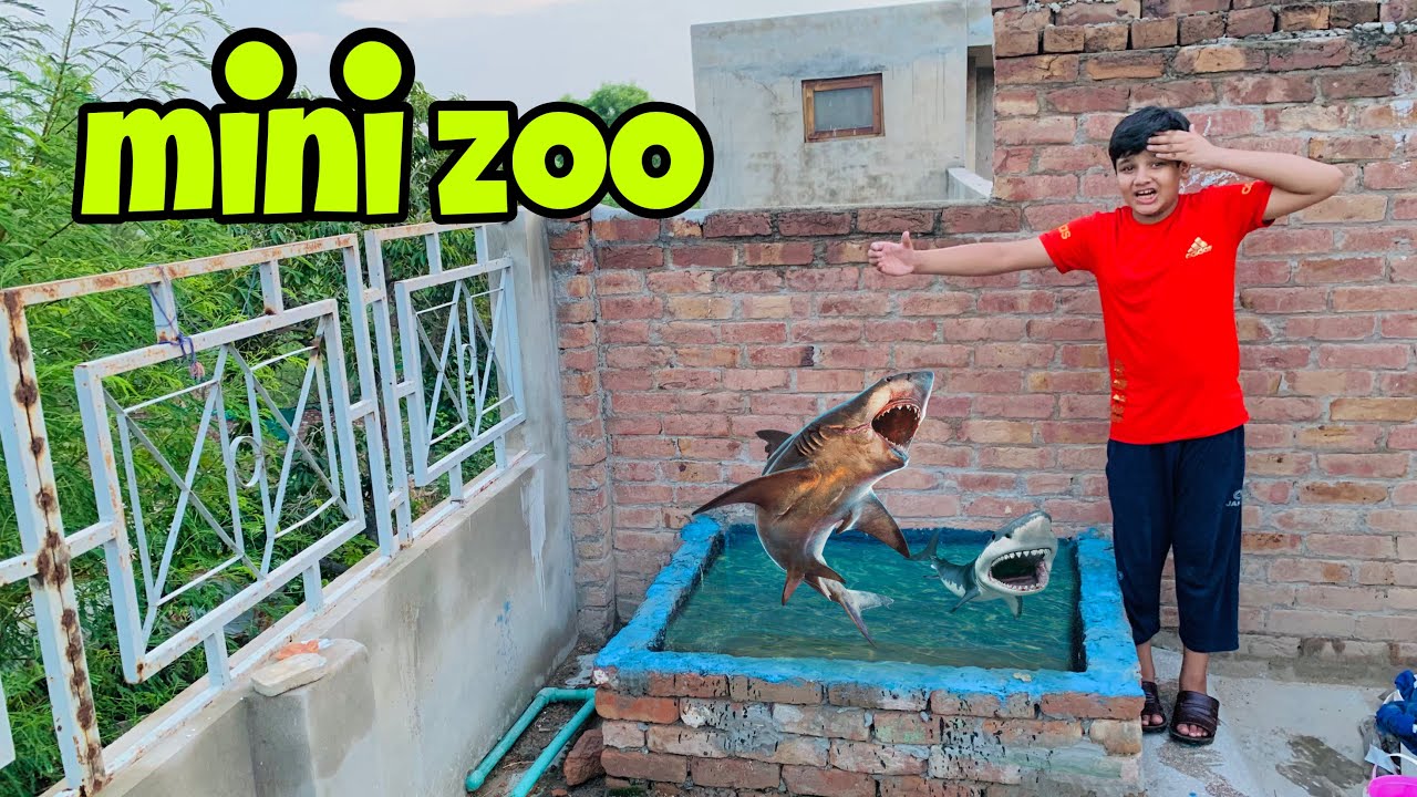 new mini zoo bnanay lagay🥰🦁#minizoo #birdswalalarka - YouTube