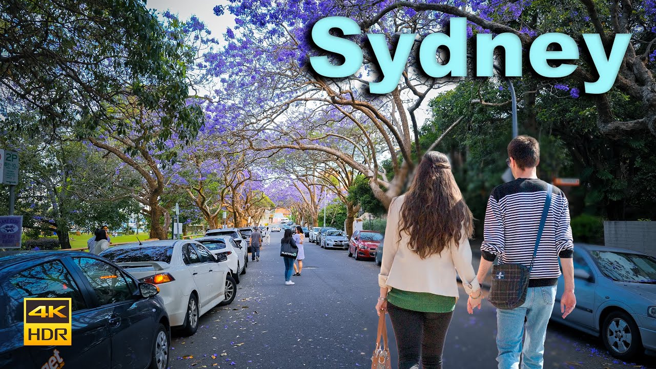 Sydney in Spring - Jacaranda Street | 4K HDR - YouTube